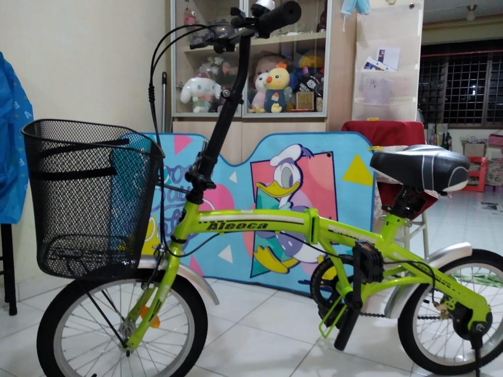ALEOCA 16IN CARTILLA FOLDING BIKE(GREEN), Sports Equipment, Bicycles ...