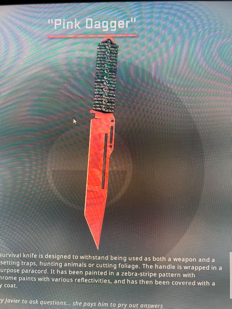 CSGO Paracord Knife Slaughter Factory New With Name Tag Video Gaming Video Games Others On 