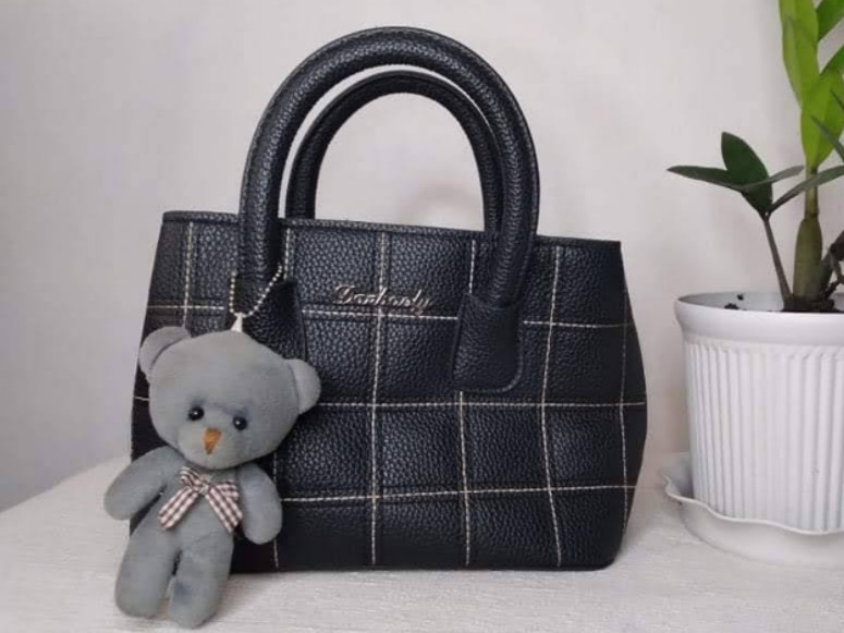 Danbaoly HandBag, Luxury, Bags & Wallets on Carousell