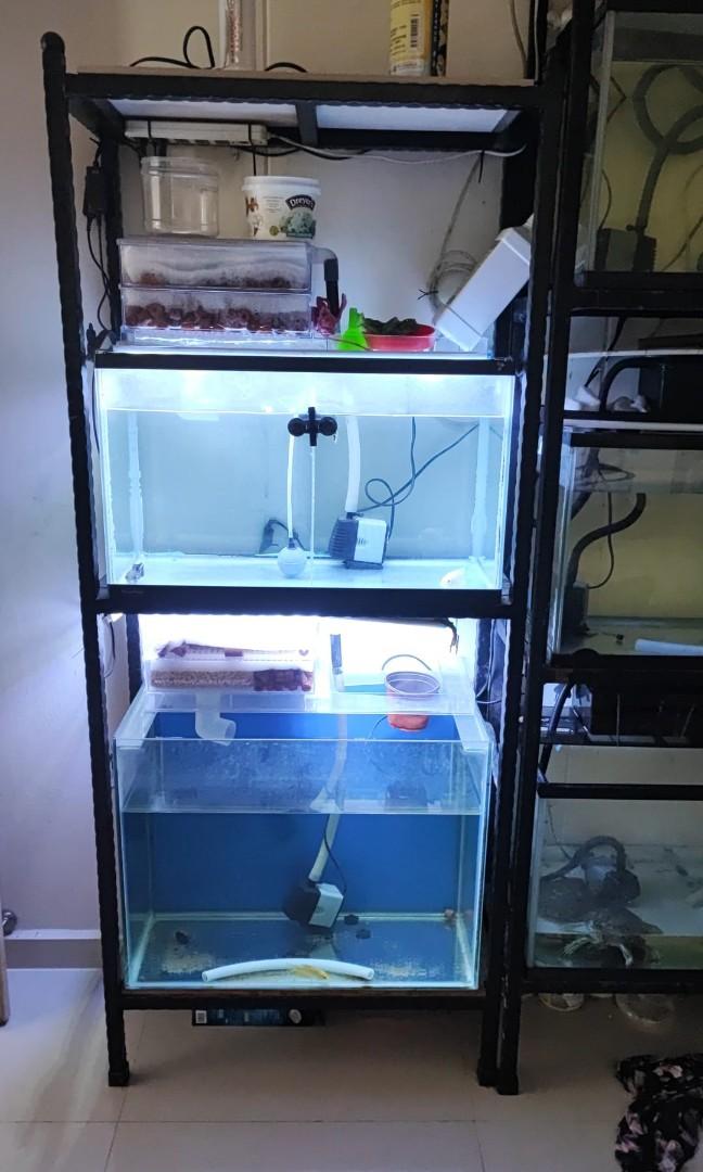 Fis tank and stand, Pet Supplies, Homes & Other Pet Accessories on ...