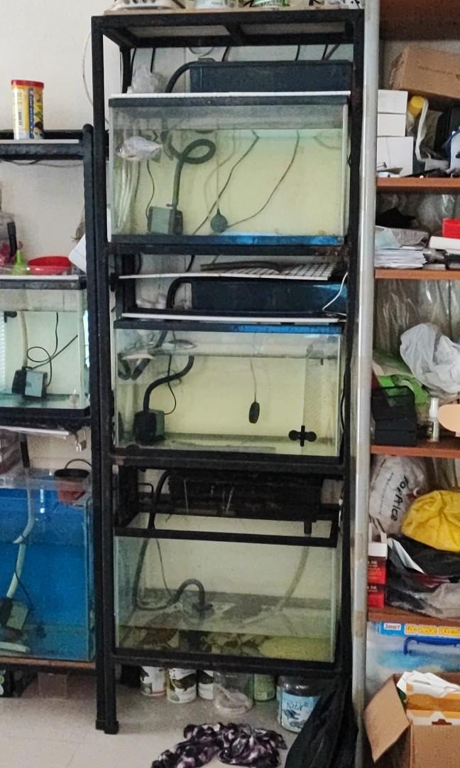 Fis tank and stand, Pet Supplies, Homes & Other Pet Accessories on ...