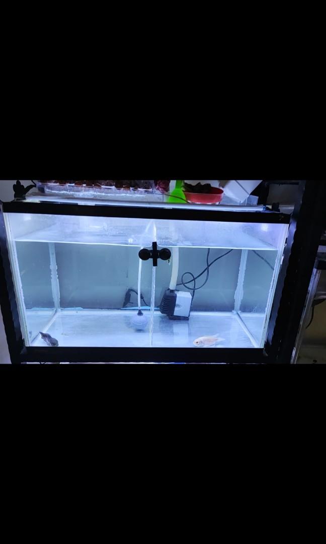 Fis tank and stand, Pet Supplies, Homes & Other Pet Accessories on ...