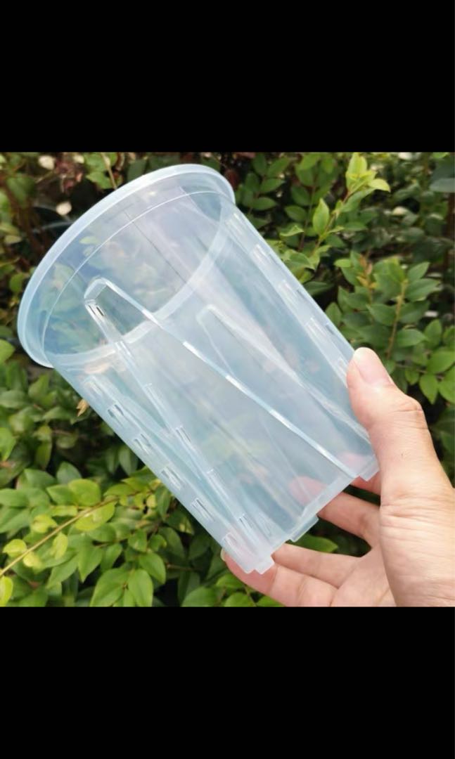 Gro Pro Rooting Pot Clear/Transparent, Furniture & Home Living ...