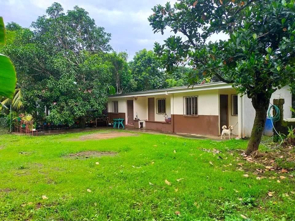 House and lot, Property, Rentals, House & Lot on Carousell