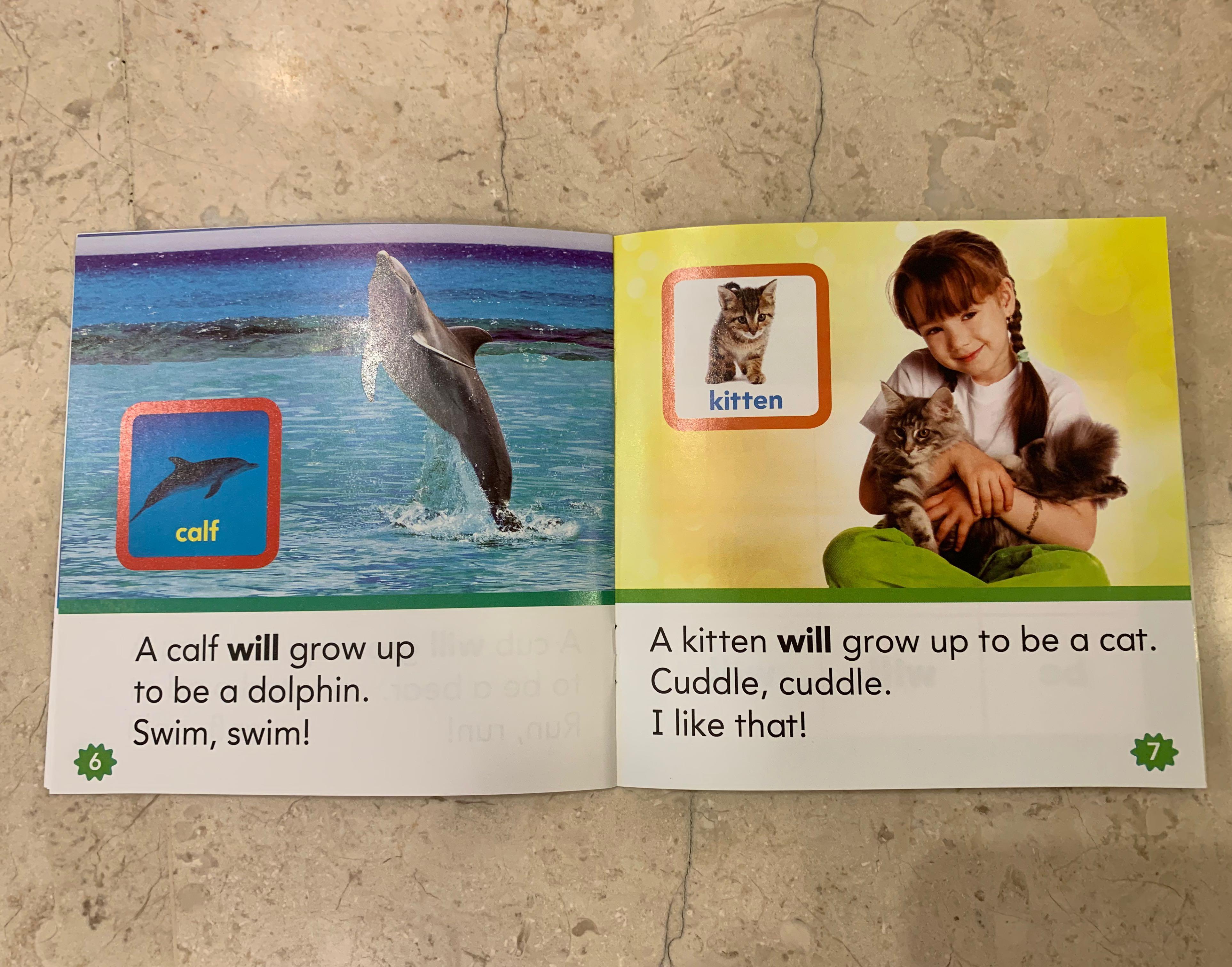 Nonfiction Sight Word Readers (Levels B, C and D), Hobbies & Toys ...