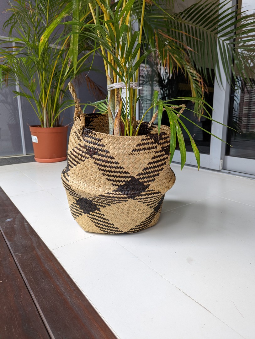 Palm tree and straw pot holder, Furniture & Home Living, Gardening ...