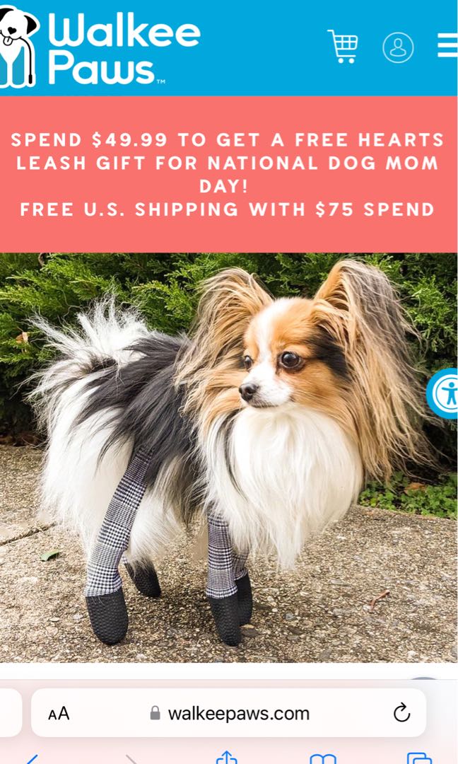 Walkee Paws, Pet Supplies, Homes & Other Pet Accessories on Carousell
