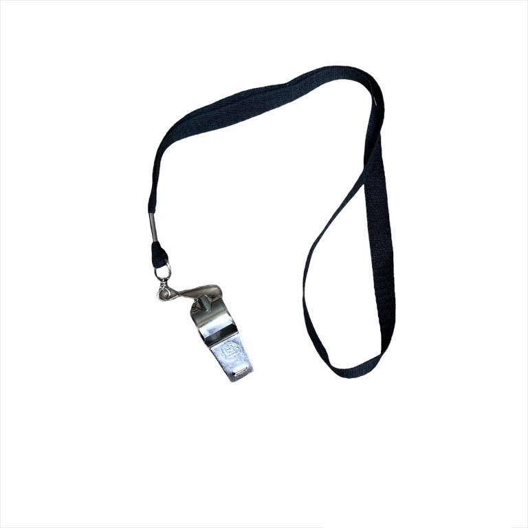 Whistle with Lanyard Metal Whistle Pito Sports Whistle, Hobbies & Toys ...