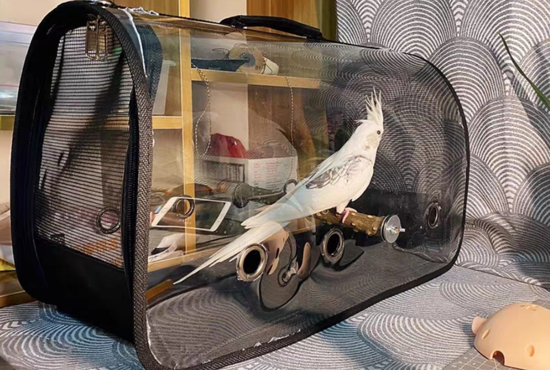 Bird carrier. Available in small, medium and large. Bird bag. Brand new ...