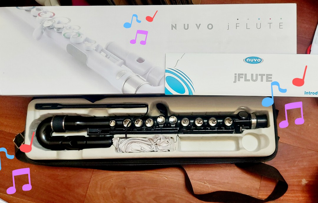 Nuvo jFlute 2.0 C調塑膠長笛 附圓型笛頭, 興趣及遊戲, 音樂樂器 & 配件, 樂器 - Carousell