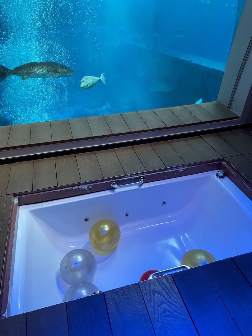 Ocean Suite at Equarius Sentosa RWS, Tickets & Vouchers, Local ...