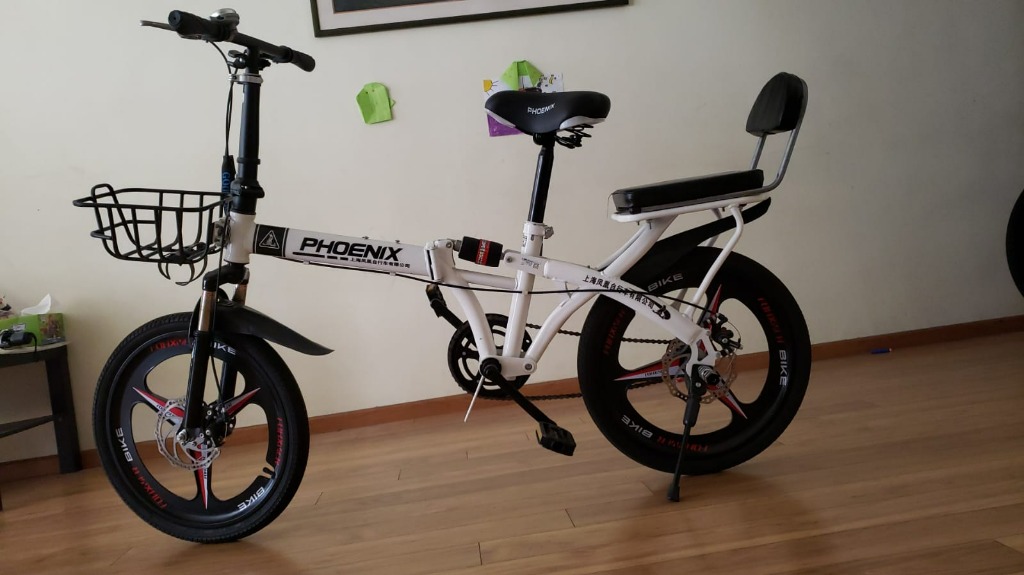 Phoenix Folding Bicycle 20-Inch, Sports Equipment, Bicycles & Parts ...