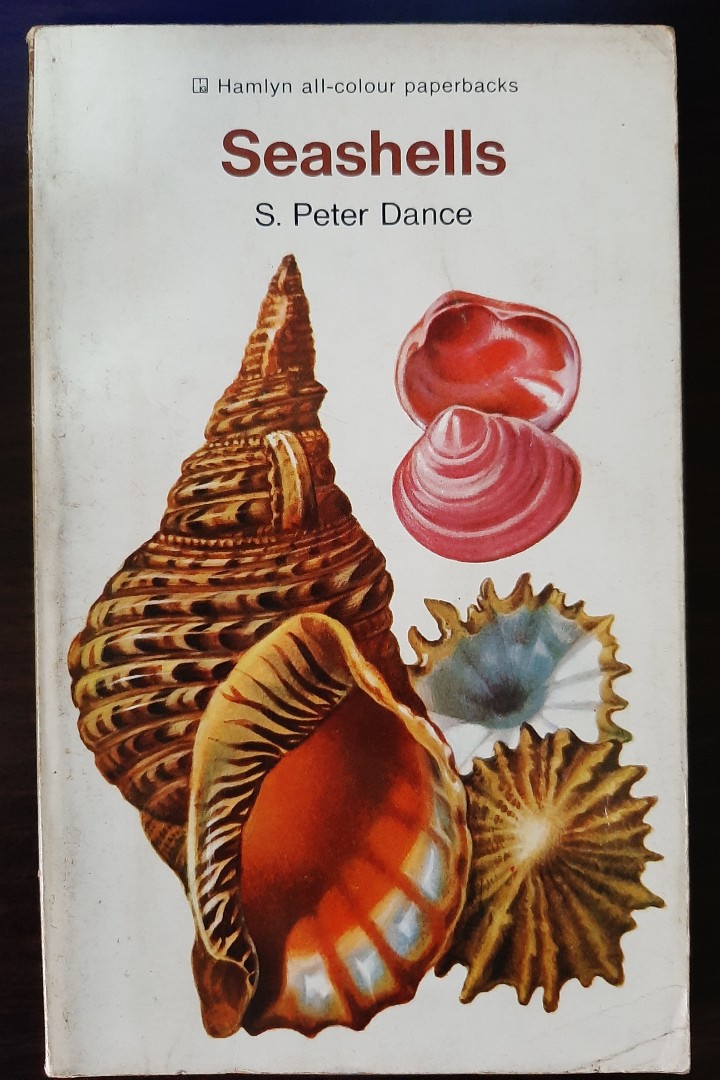 Seashells (1977), Hobbies & Toys, Books & Magazines, Fiction & Non ...