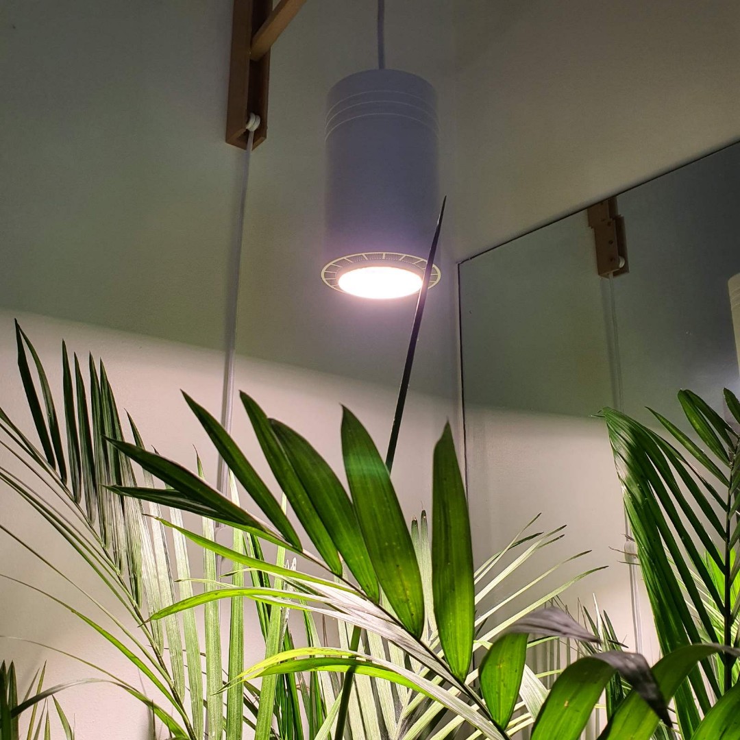 Soltech Solutions Aspect Growlight (Large), Furniture & Home Living ...