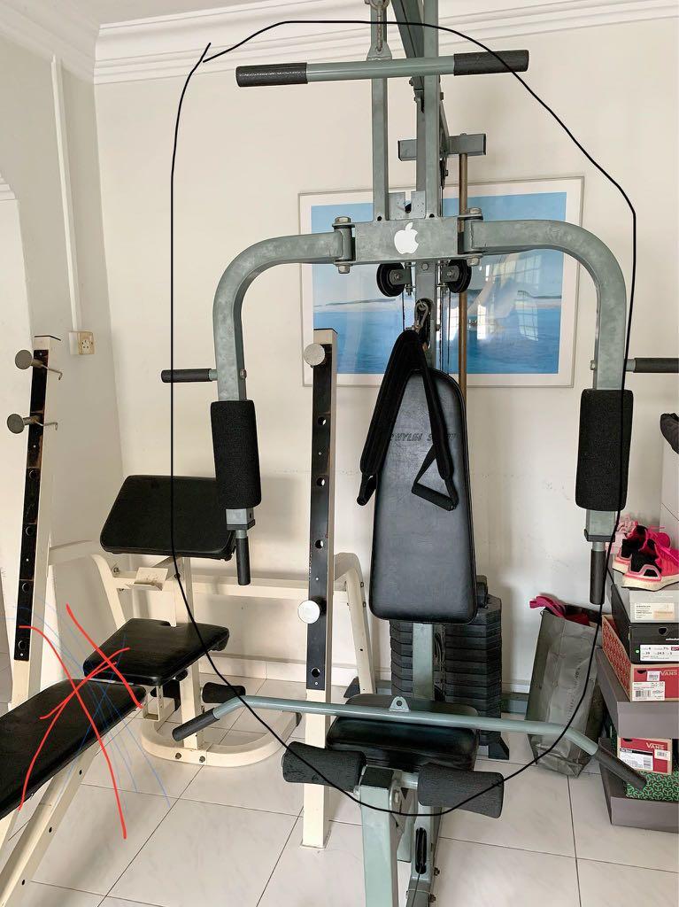 Gym Equipment and EZ Shape, Sports Equipment, Exercise & Fitness ...