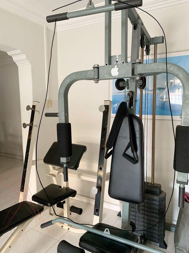 Gym Equipment and EZ Shape, Sports Equipment, Exercise & Fitness ...