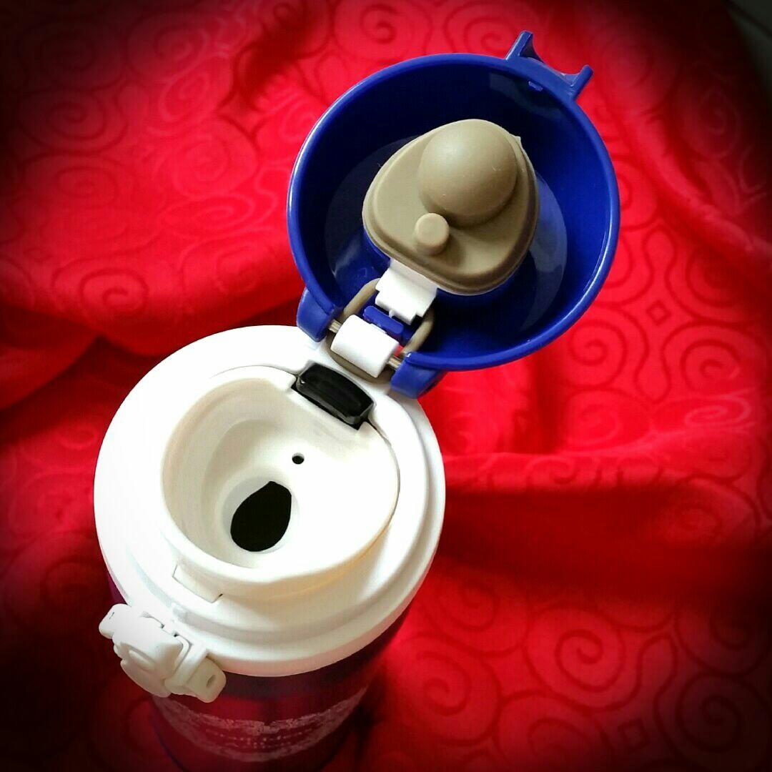 Stainless Steel Thermos Flash/Water Bottle (500ml), Furniture & Home ...