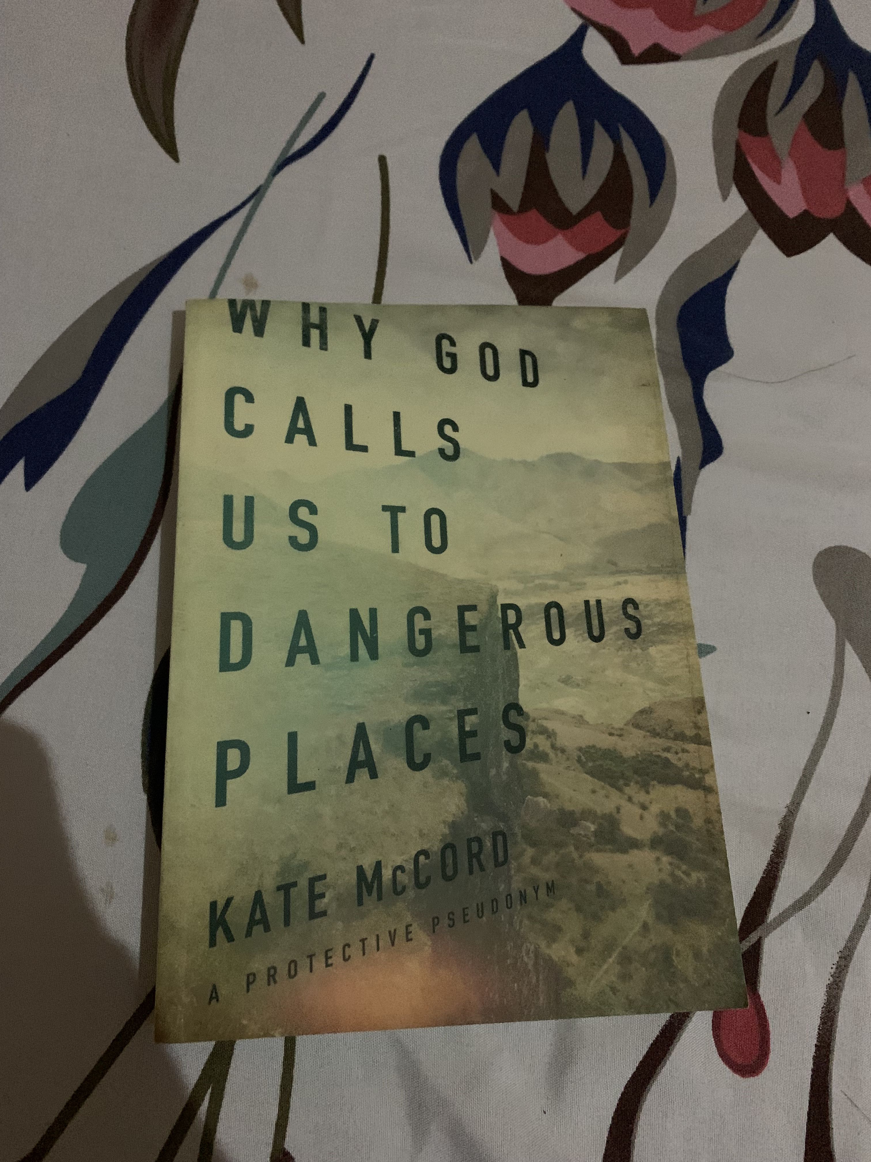 WHY GOD CALLS US TO DANGEROUS PLACES BOOK BY KATE MCCORD, Hobbies ...