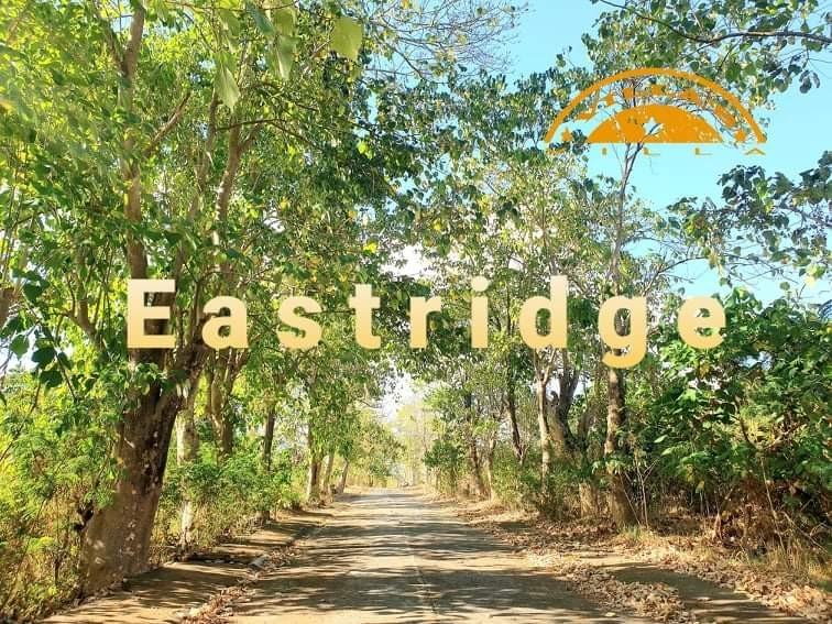 Eastridge Subdivision, Angono, Property, For Sale, Lot on Carousell