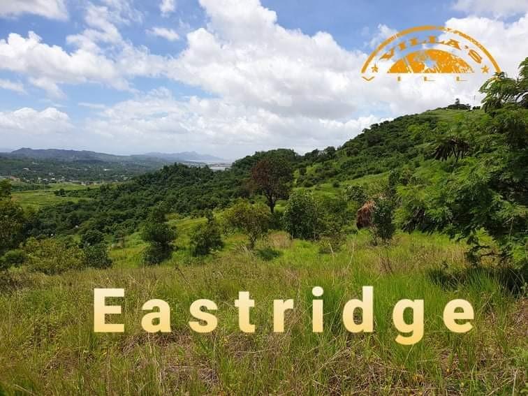 Eastridge Subdivision, Angono, Property, For Sale, Lot on Carousell