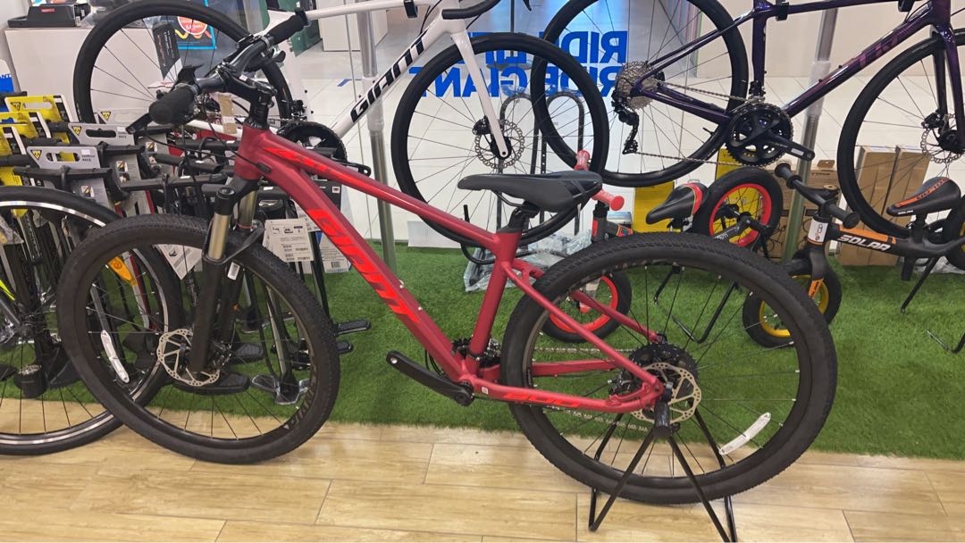 Giant XTC 800 Plus (Special Edition), Sports Equipment, Bicycles ...