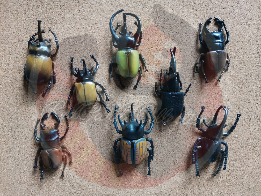 Assorted Realistic Kabuto / Stag Beetles Figures Set, Hobbies & Toys ...