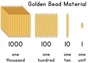 Montessori Golden Bead Decimal System, Hobbies & Toys, Toys & Games on ...