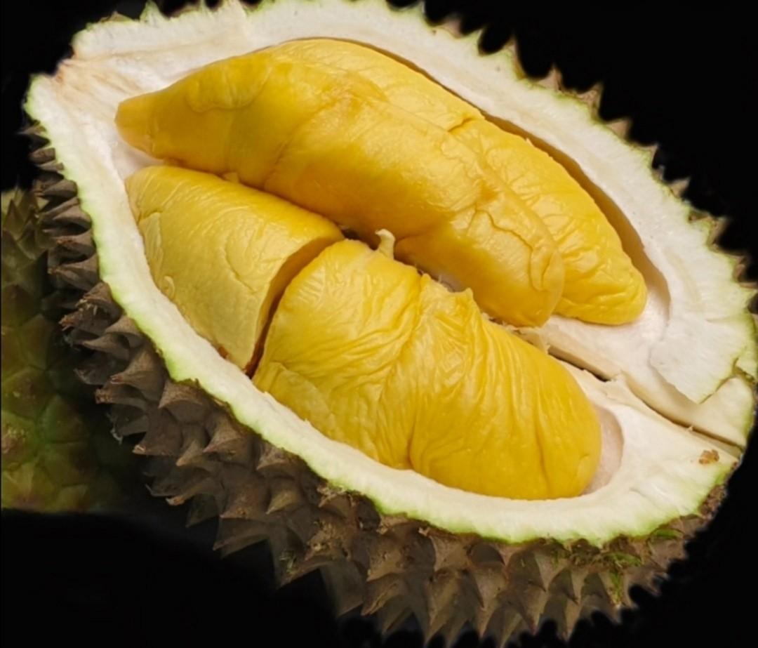 MSW durian plant and assorted durian plants, Furniture & Home Living ...