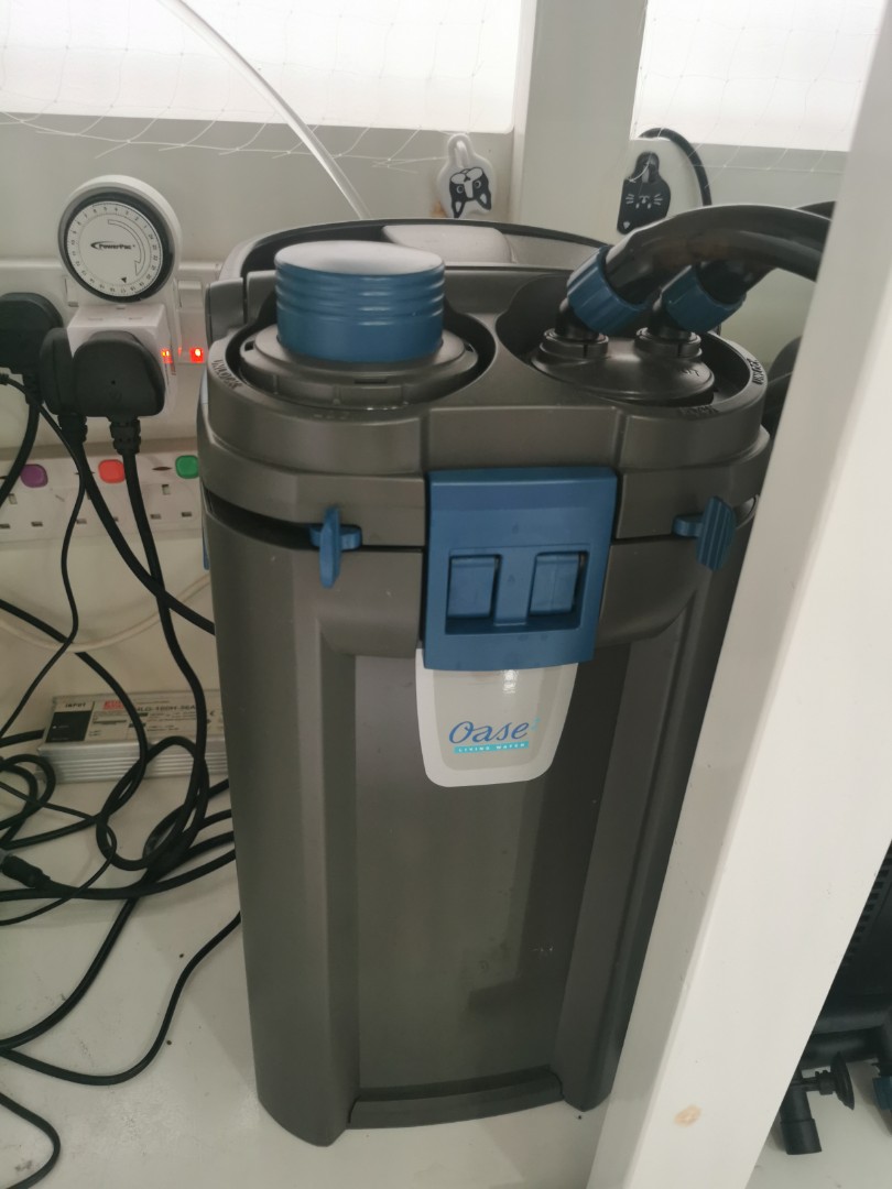 OASE Biomaster 600, Pet Supplies, Homes & Other Pet Accessories on Carousell
