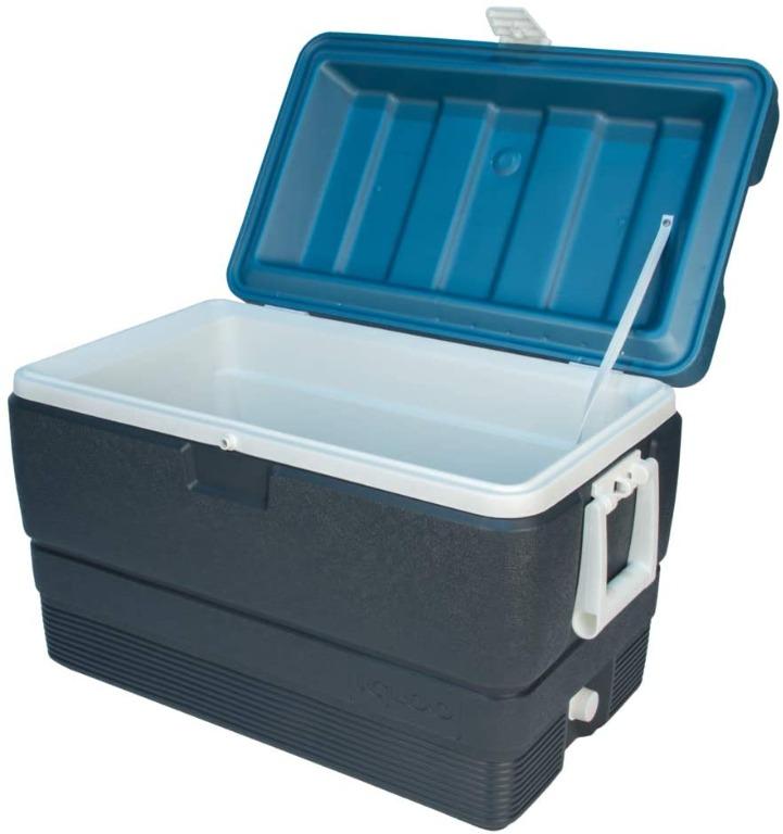 Igloo Maxcold Cooler | 50 Quart, Sports Equipment, Hiking & Camping on ...