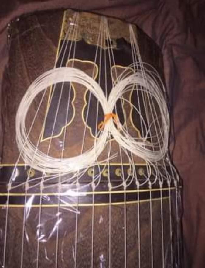 Koto japanese zither with new bridge and tsume, Hobbies & Toys, Music ...