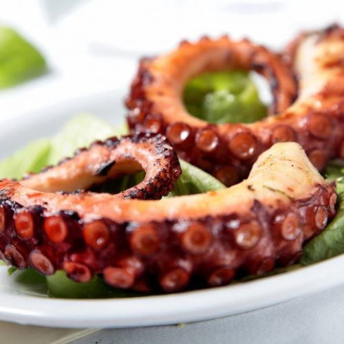OCTOPUS LEGS 1kg Halal, Food & Drinks, Chilled & Frozen Food on Carousell