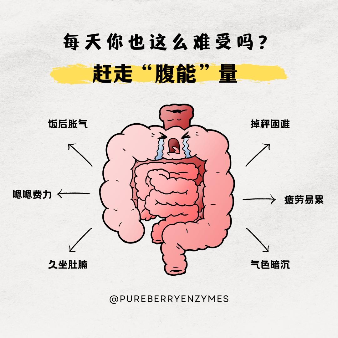 Pure Berry Enzyme 4 box for $175, Food & Drinks, Beverages on Carousell