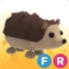 Adopt Me Fly & Ride Hedgehog, Video Gaming, Video Games, Others on ...