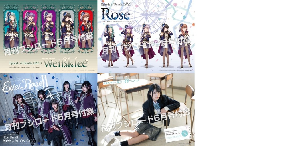 Bushiroad Monthly June 2022 Double Sided Poster Roselia / Edel Rose II ...