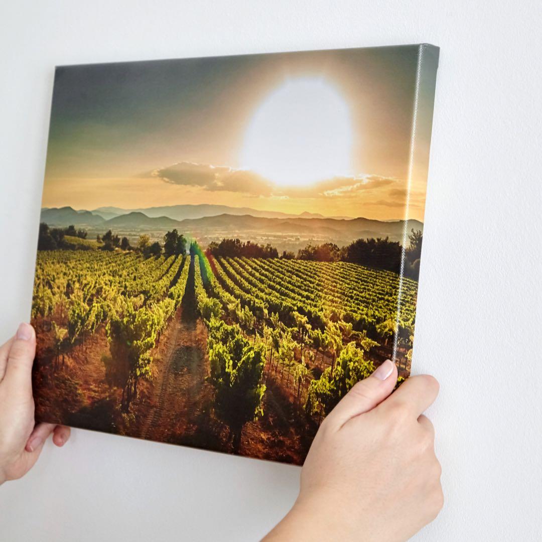 Custom Art Canvas Photo Print with backing frame, Hobbies & Toys ...