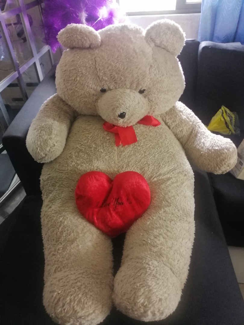 Life size teddy bear, Hobbies & Toys, Toys & Games on Carousell