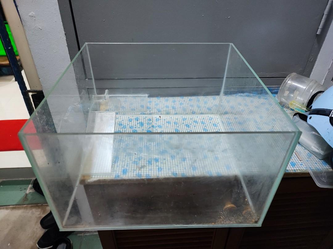 Terrapin tank, Pet Supplies, Homes & Other Pet Accessories on Carousell