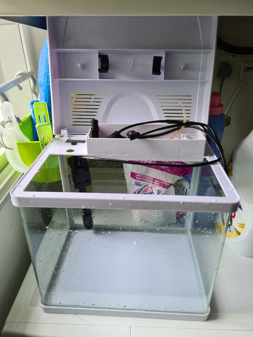 1 foot fish tank, Pet Supplies, Homes & Other Pet Accessories on Carousell