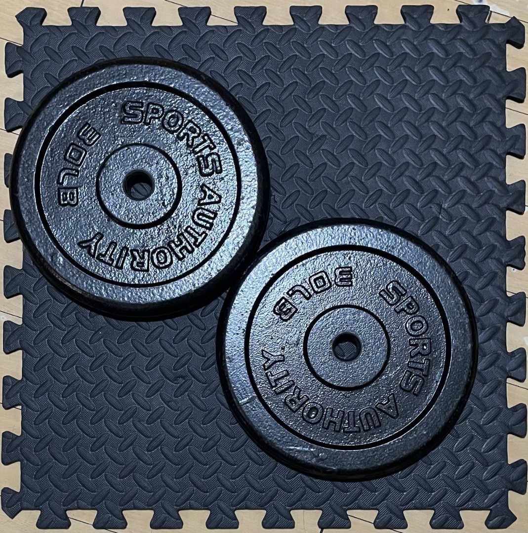 30-lb Standard Plate (2 pcs.), Sports Equipment, Exercise & Fitness ...