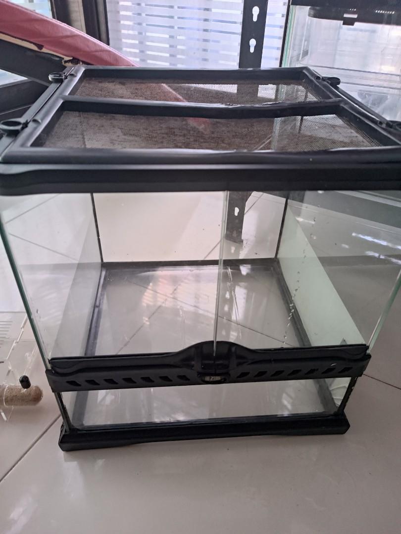 Ants home/tanks, Pet Supplies, Homes & Other Pet Accessories on Carousell