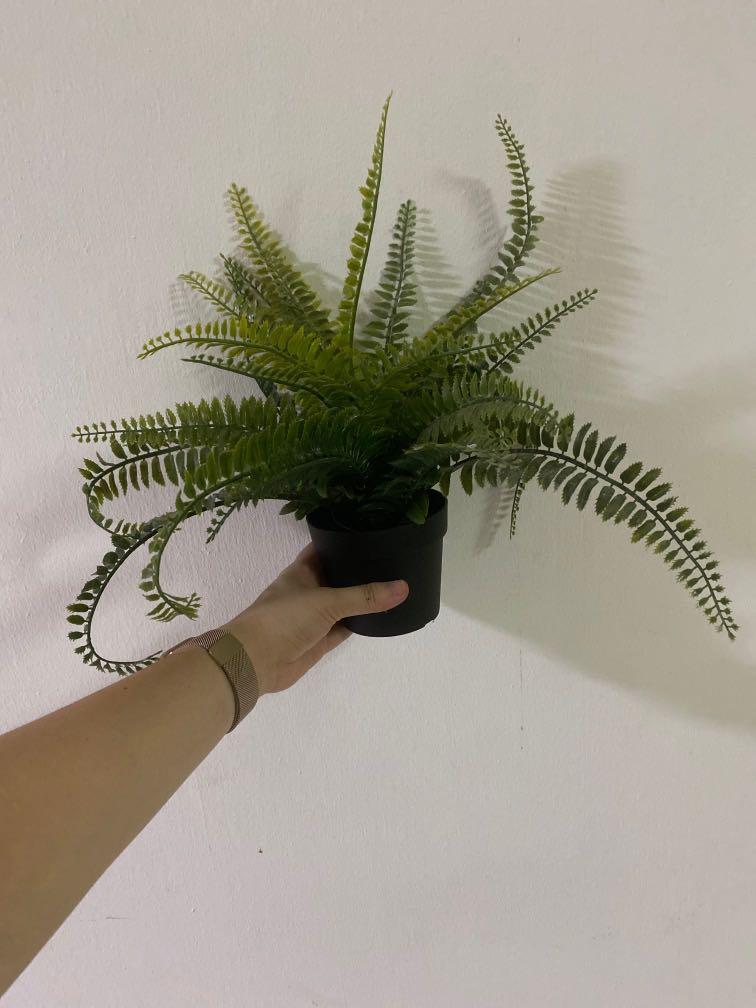 Artificial Plant ferns Ivy ikea faux false fake plants, Furniture ...