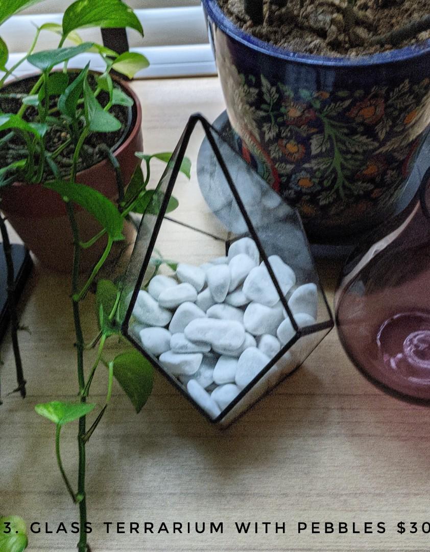 Beautiful triangular terrarium with white pebbles, Furniture & Home ...