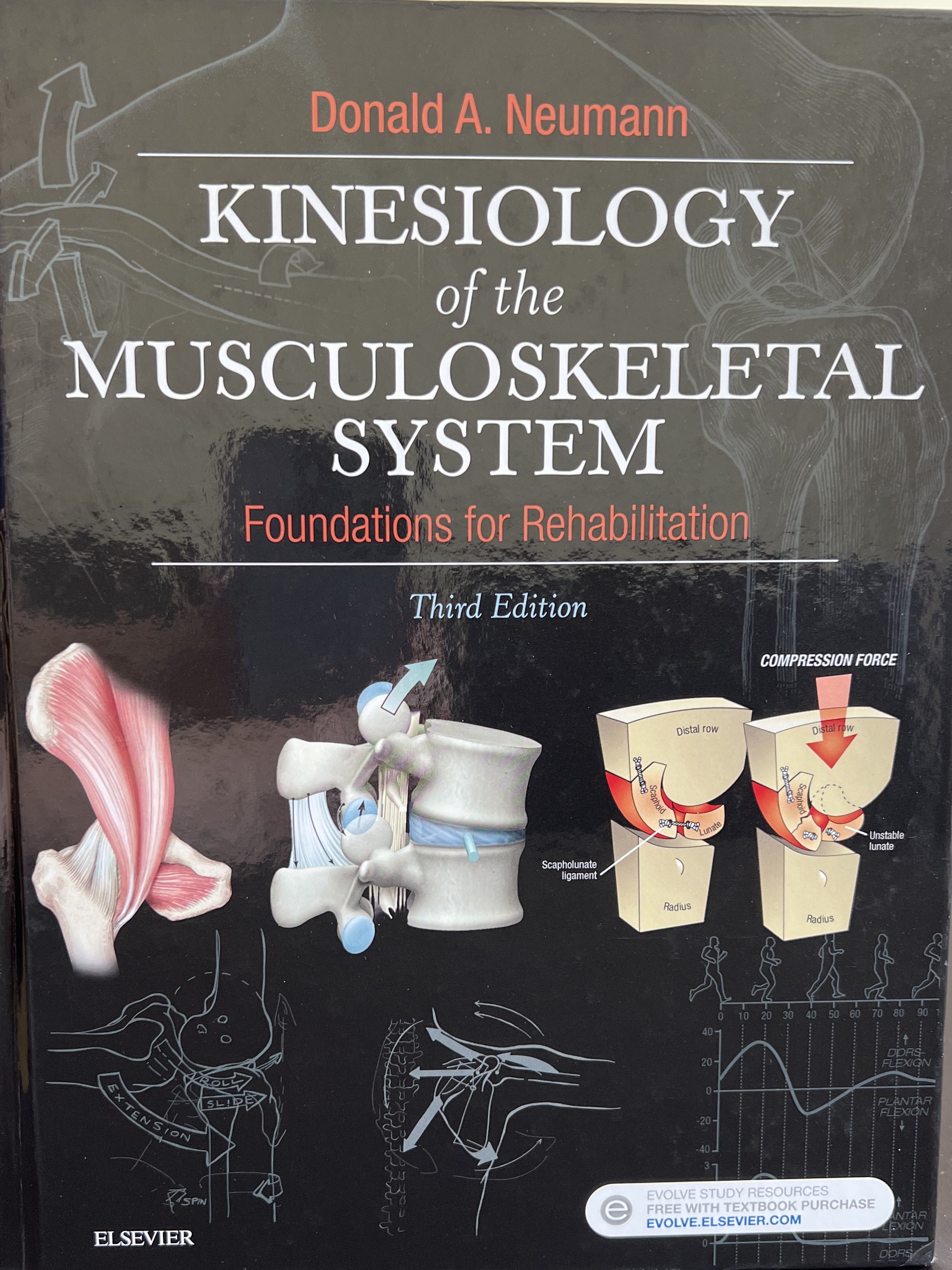 Donald A. Neumann Kinesiology of the Musculoskeletal System, Hobbies ...