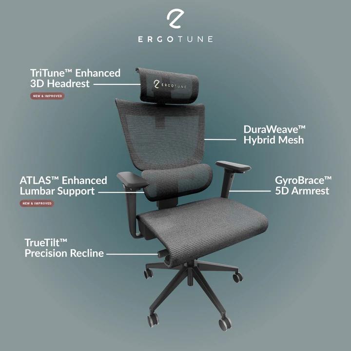 ErgoTune Supreme Best Ergonomic Office Chair Singapore