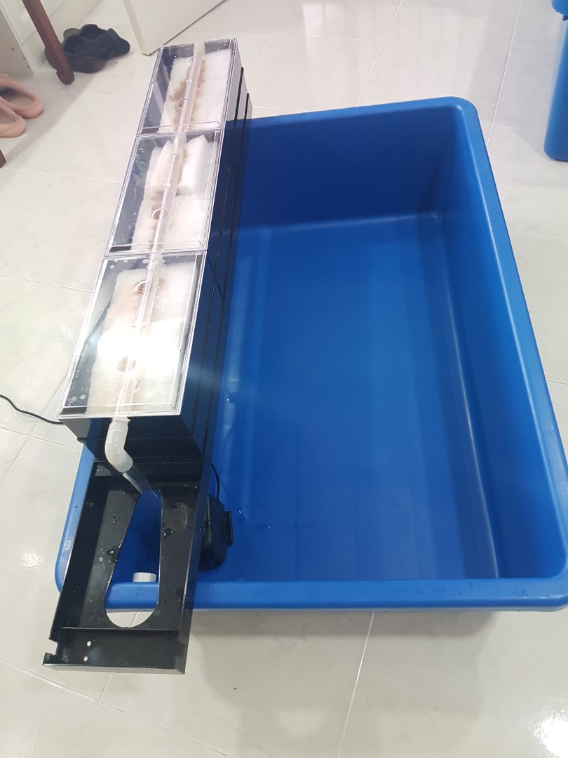 Fish Tub with top filter, Pet Supplies, Homes & Other Pet Accessories ...