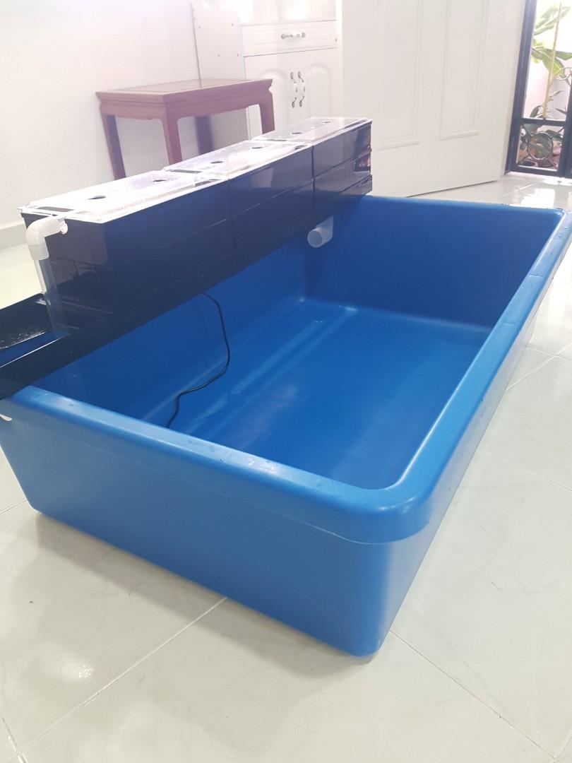Fish Tub with top filter, Pet Supplies, Homes & Other Pet Accessories ...