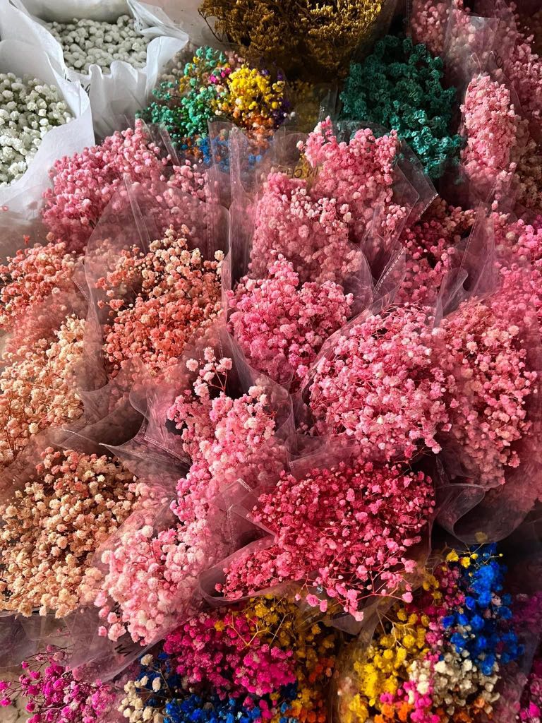 IMPORTED DRIED GYPSO, Furniture & Home Living, Home Decor, Artificial ...