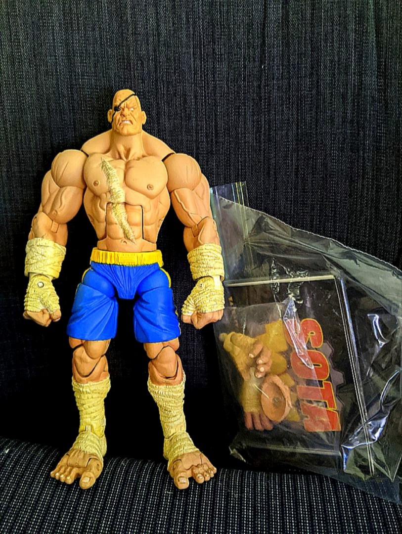 SOTA (Street Fighter) - Sagat and Gen, Hobbies & Toys, Toys & Games on ...