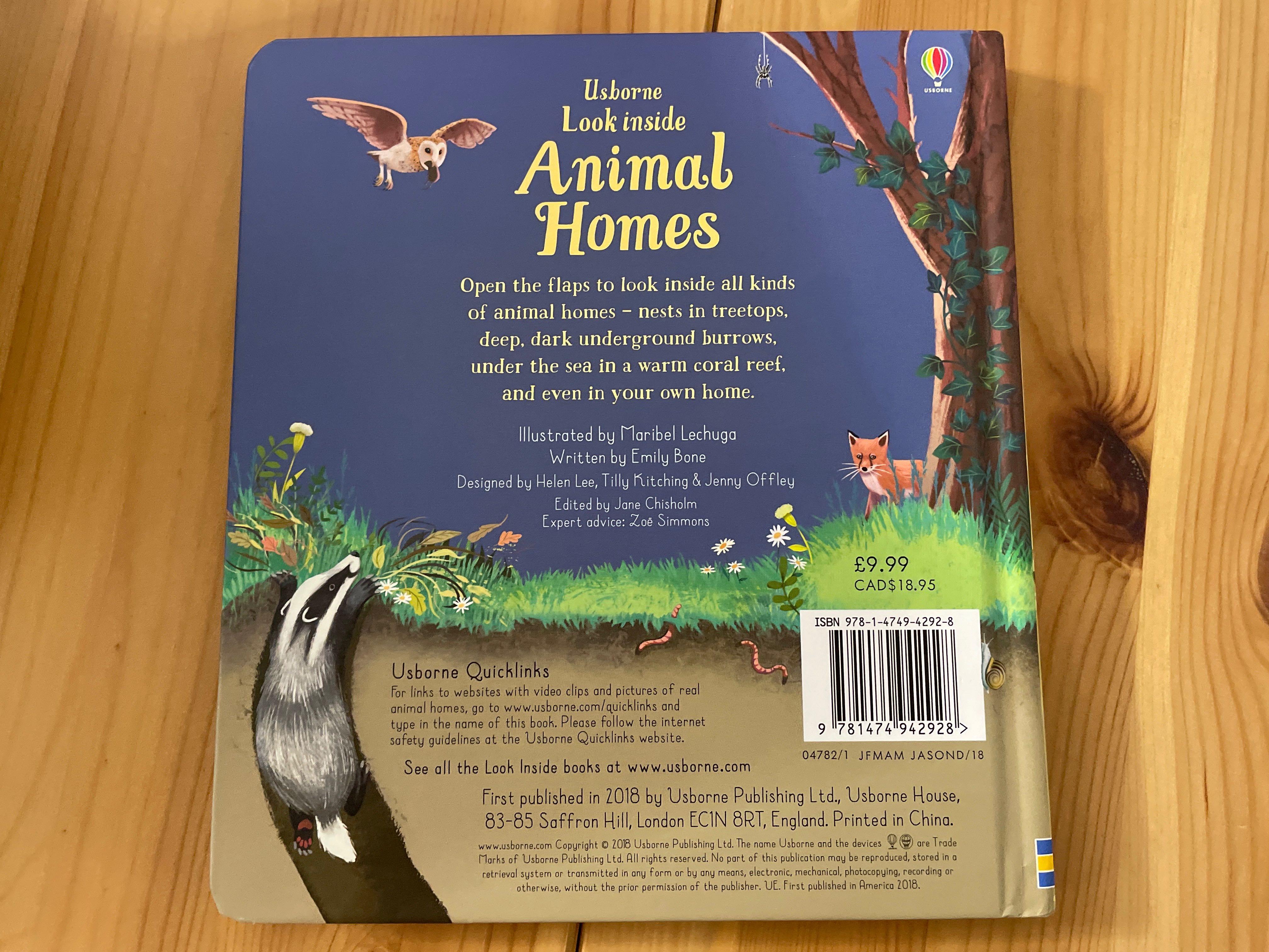 Usborne Look inside Animal Homes book, 興趣及遊戲, 書本 & 文具, 小朋友書 - Carousell